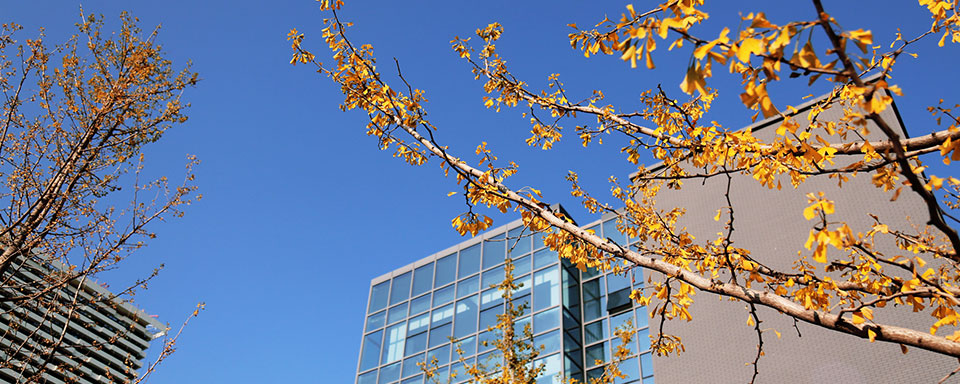 Đại học Trung Y Dược Cam Túc - Du Học Quốc Tế A2Z